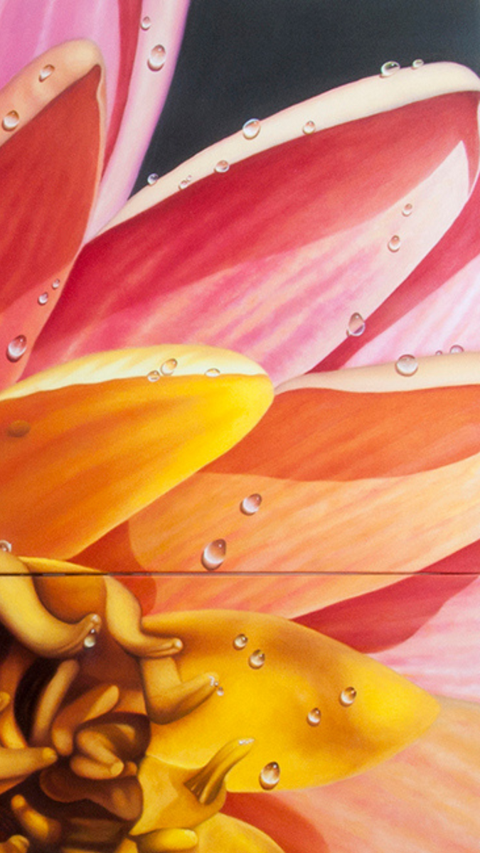 FLOR DE LOTO by JUAN BERNAL – TOURNÉ